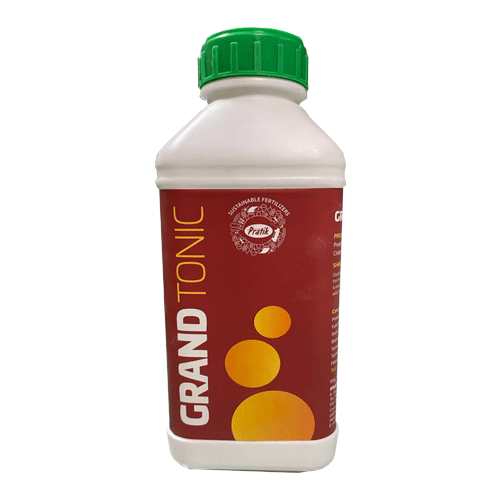 Grand Tonic – Pratik India